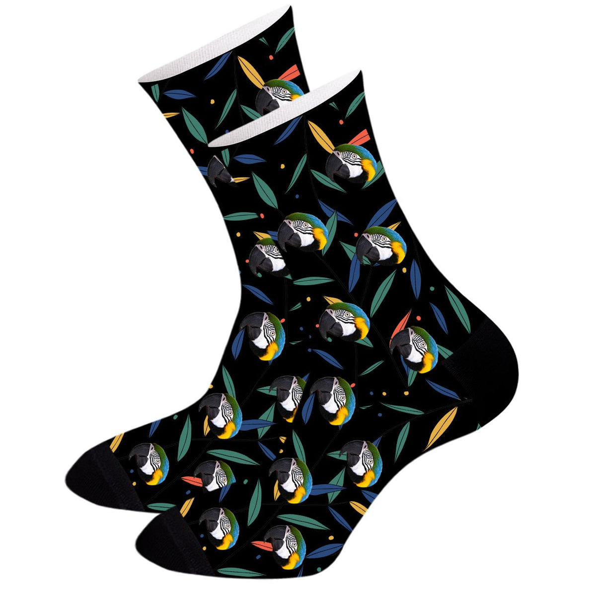 Custom Parrot Face Socks – Yourphotosocks